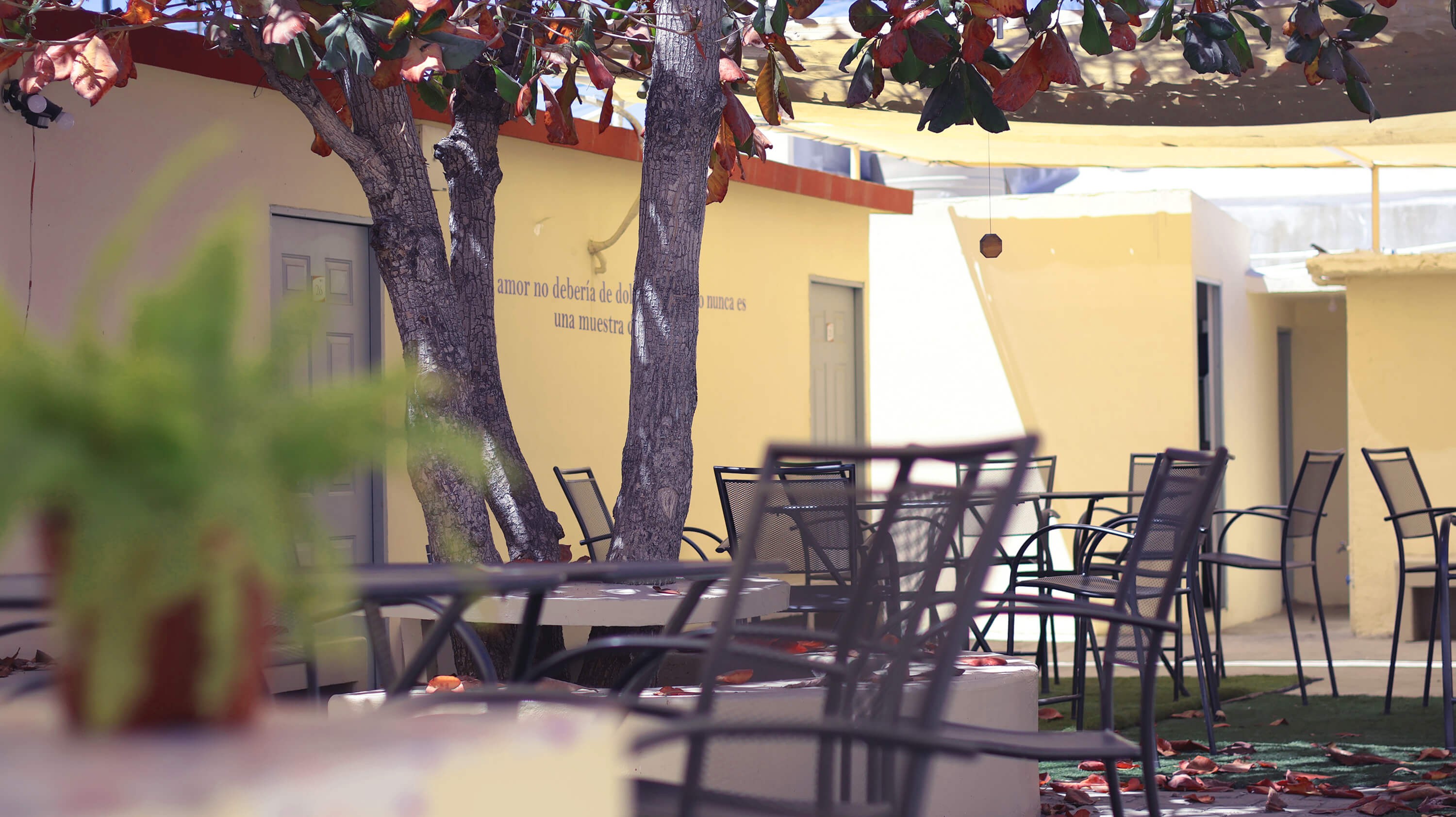 UGC - Universidad del Golfo de California